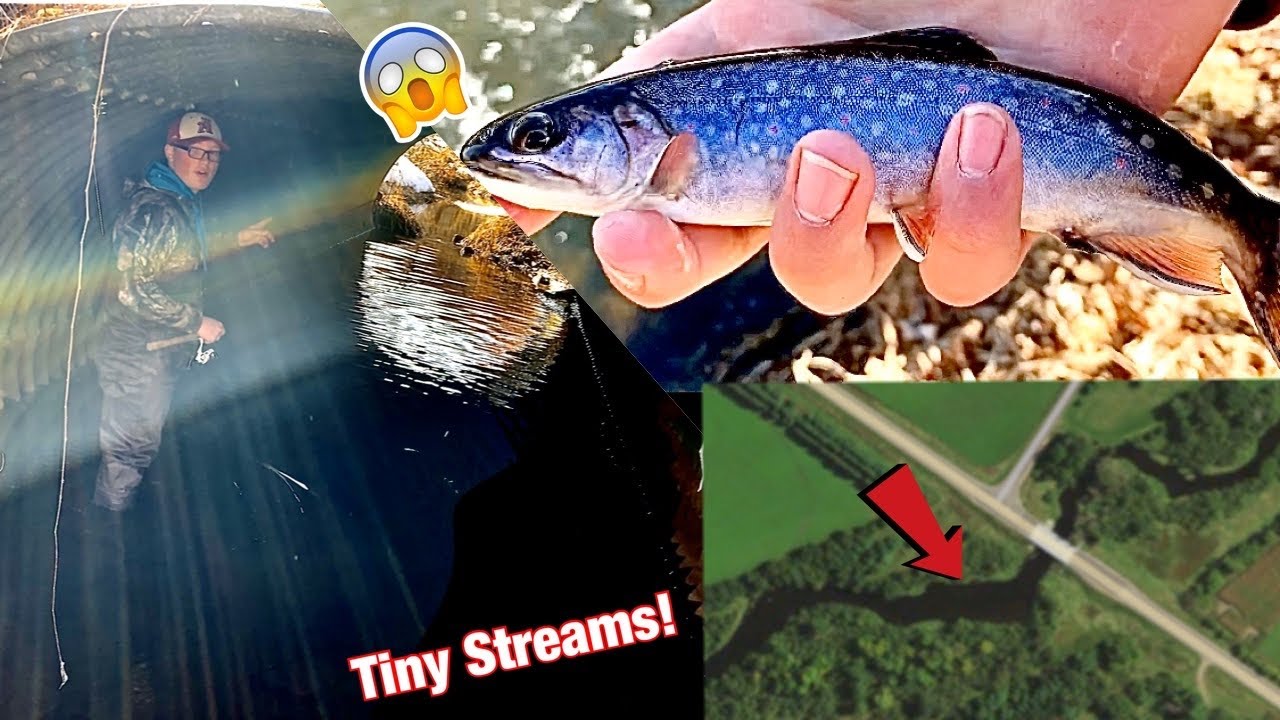 Using GOOGLE MAPS to find TINY pools and streams for TROUT!! - YouTube