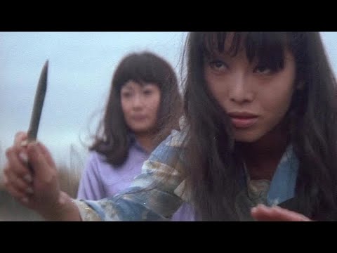 Stray Cat Rock: Delinquent Girl Boss '女番長　野良猫ロック' (1970) | directed by Yasuharu Hasebe