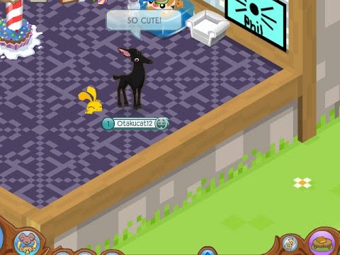 HOW TO MAKE A GOLDEN BUNNY ON ANIMAL JAM! EASY - YouTube