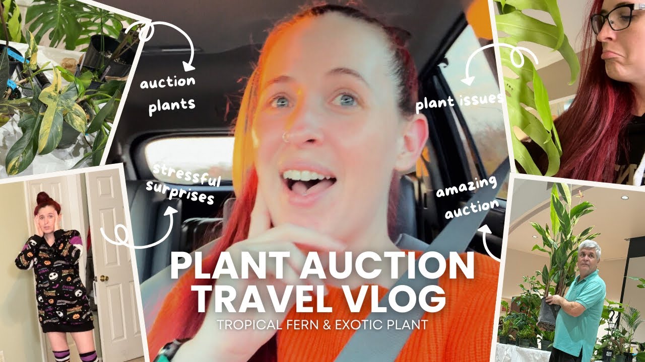 Trip To The Best Kept Secret Plant Auction - YouTube