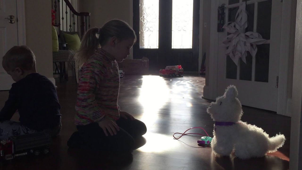 GoGo My Walking Pup review by an energetic 6yr old FurReal Friends ...