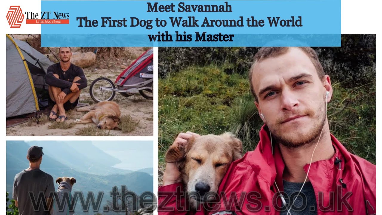 Meet Savannah: The First Dog to Walk Around the World with his Master ...