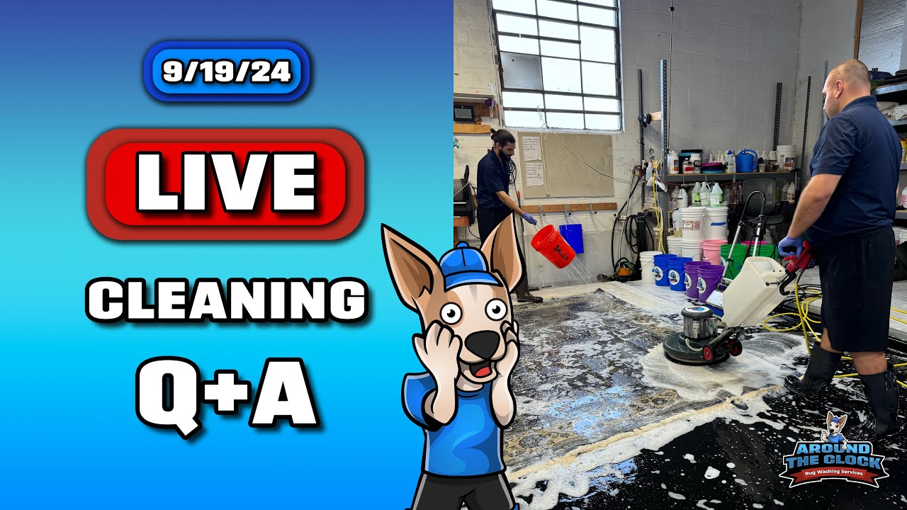 LIVE RUG WASHING! | Q&A / AMA Cleaning! - YouTube