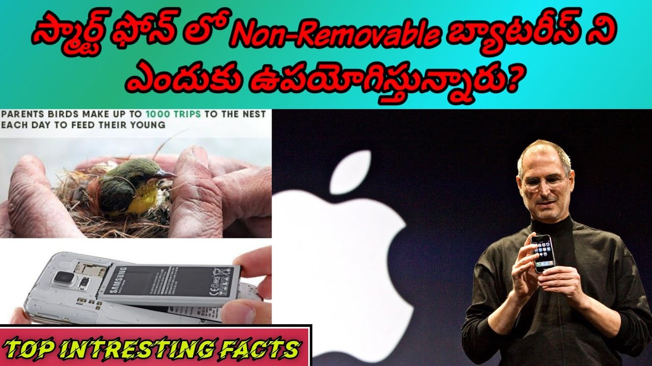 Why Do Most Mobile Phones Have Non Removable Battery Naveen For You save birds YouTube why-do-most-mobile-phones-have-non-removable-battery-naveen-for-you-save-birds-youtube