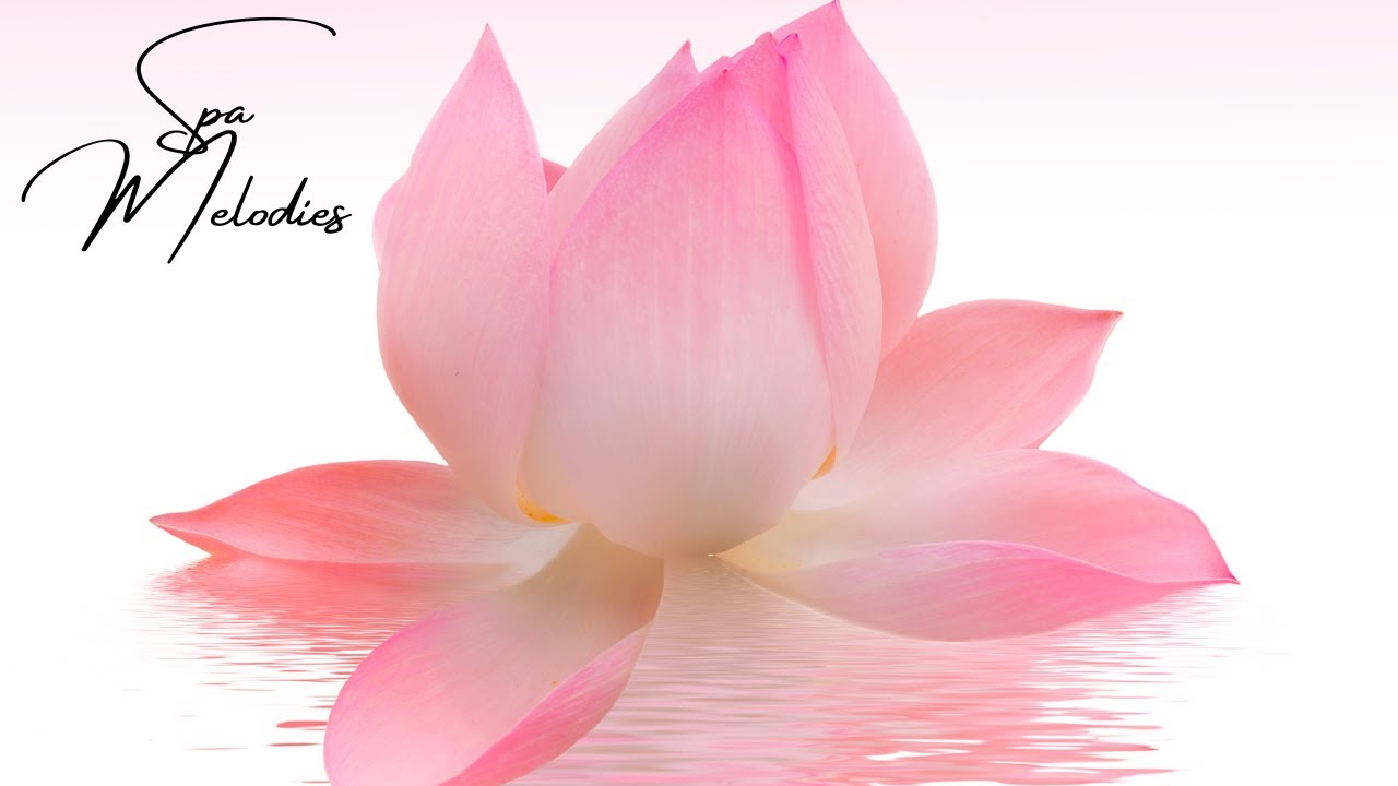 Morning Gloom: 1 Hour Morning Relaxing Music - Positive Feelings and ...