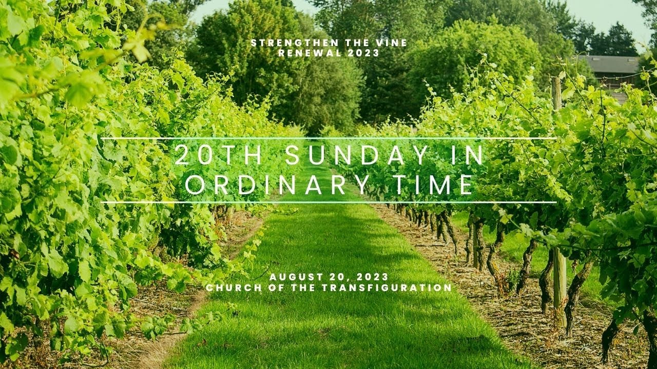 20th Sunday in Ordinary Time (8/20/23) - YouTube
