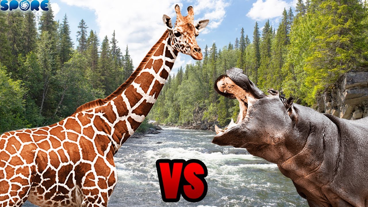 Giraffe vs Hippo | SPORE - YouTube
