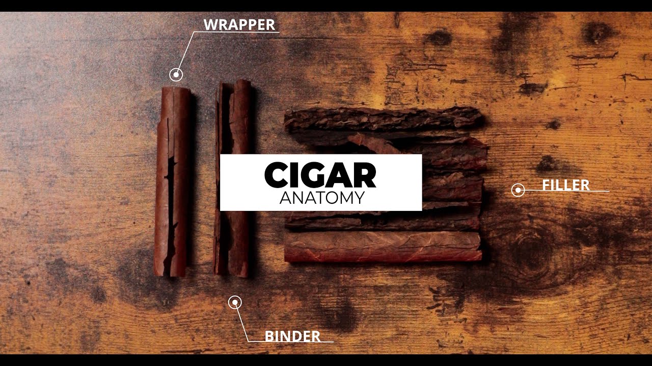 Cigar Anatomy 101: Different Parts of a Cigar - YouTube