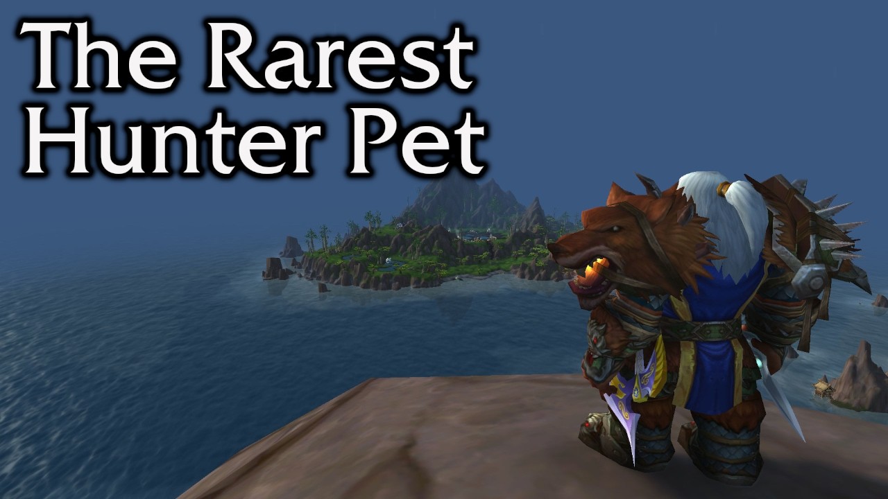 World of Warcraft's Rarest Hunter Pet - YouTube