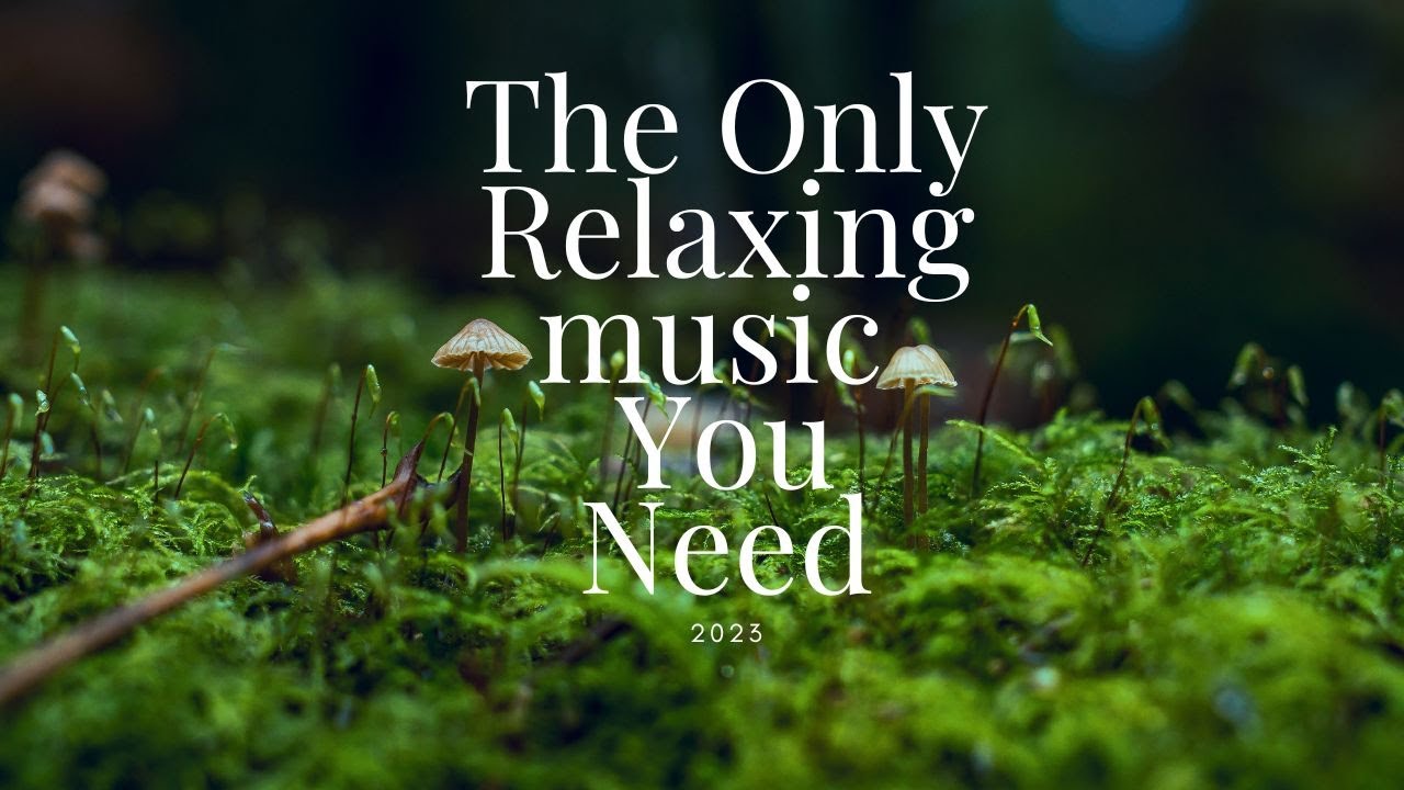Relaxing Piano Music | The only relaxing music you need - YouTube