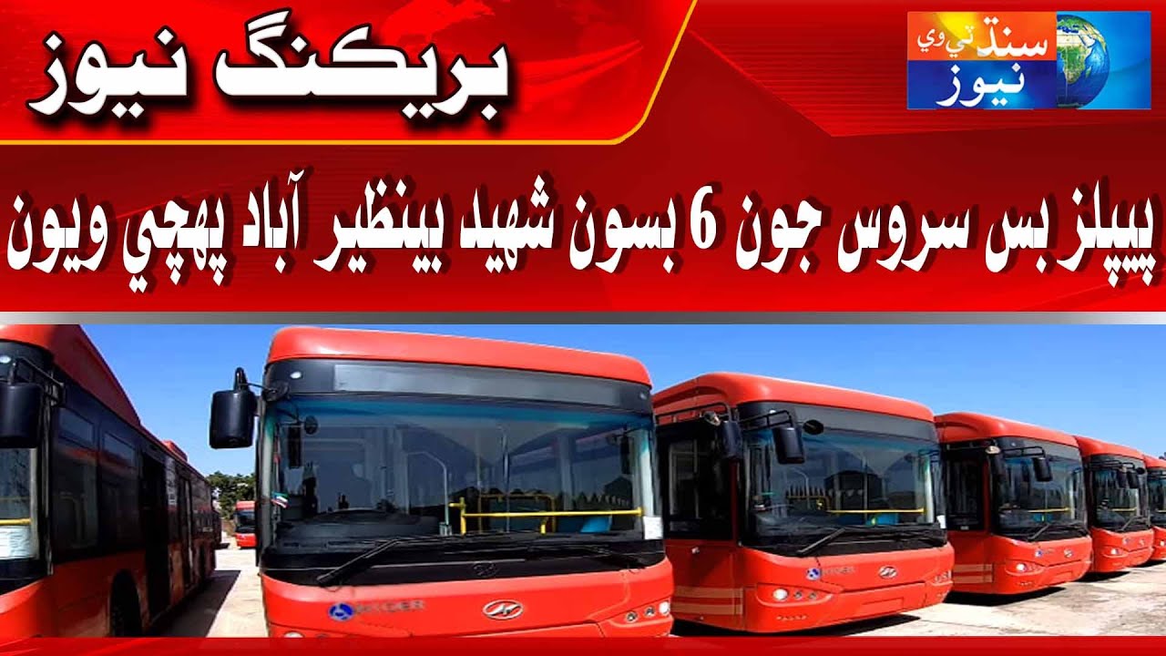 6 buses of People's Bus Service reached Shaheed Benazirabad | Sindh TV ...