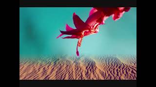 All Windows 8 Wallpapers