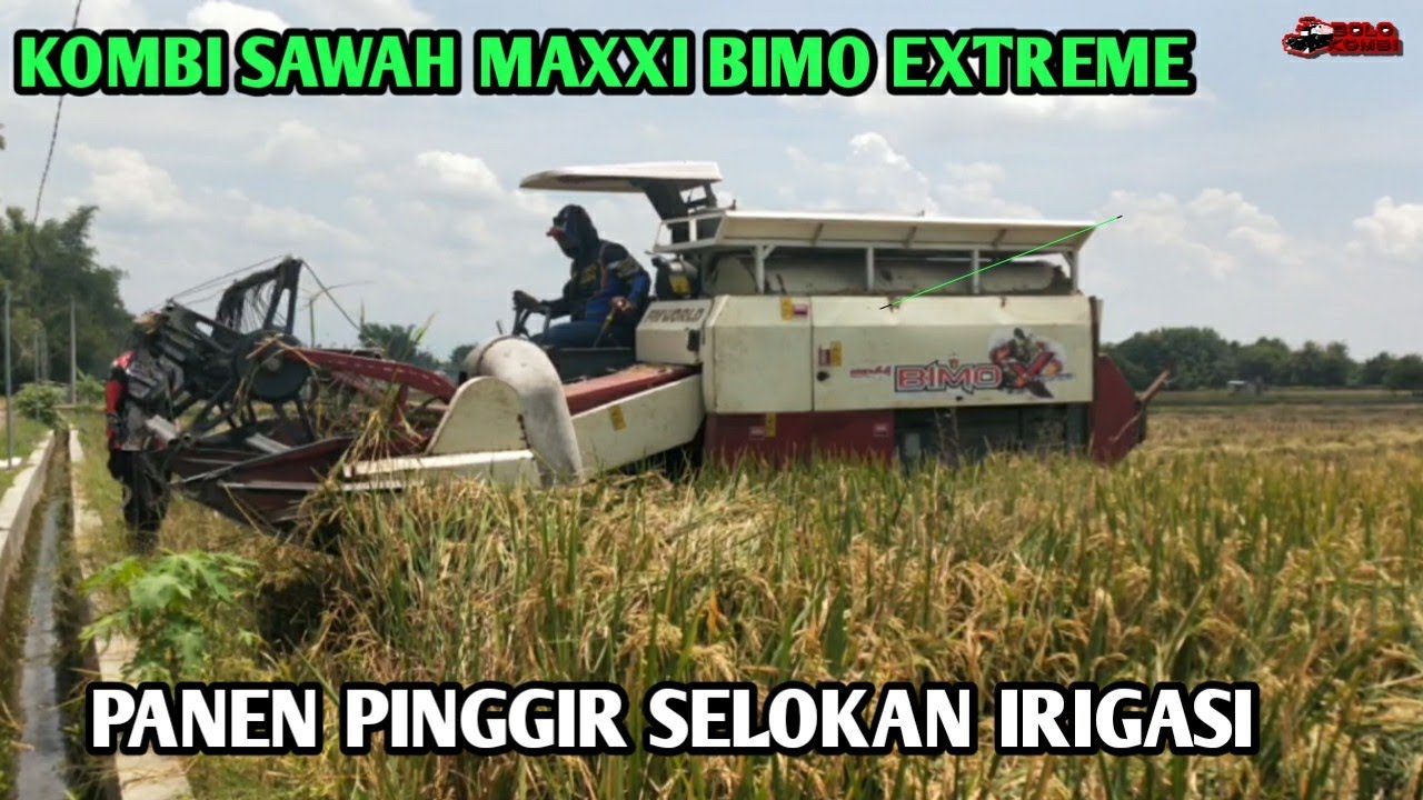 PANEN PINGGIR SELOKAN IRIGASI DESA | KOMBI SAWAH MAXXI BIMO EXTREME ...