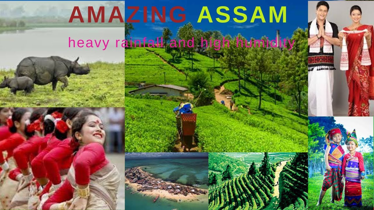 AMAZING ASSAM | BLUE PEN MEDIA | VISUALS - YouTube