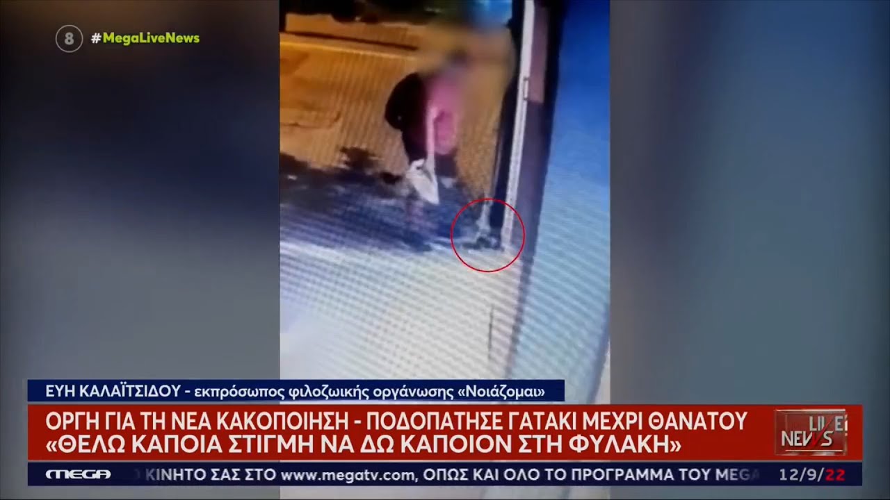 Θεσσαλονίκη: Κινητοποίηση στα social media για τον άντρα που ποδοπάτησε ...