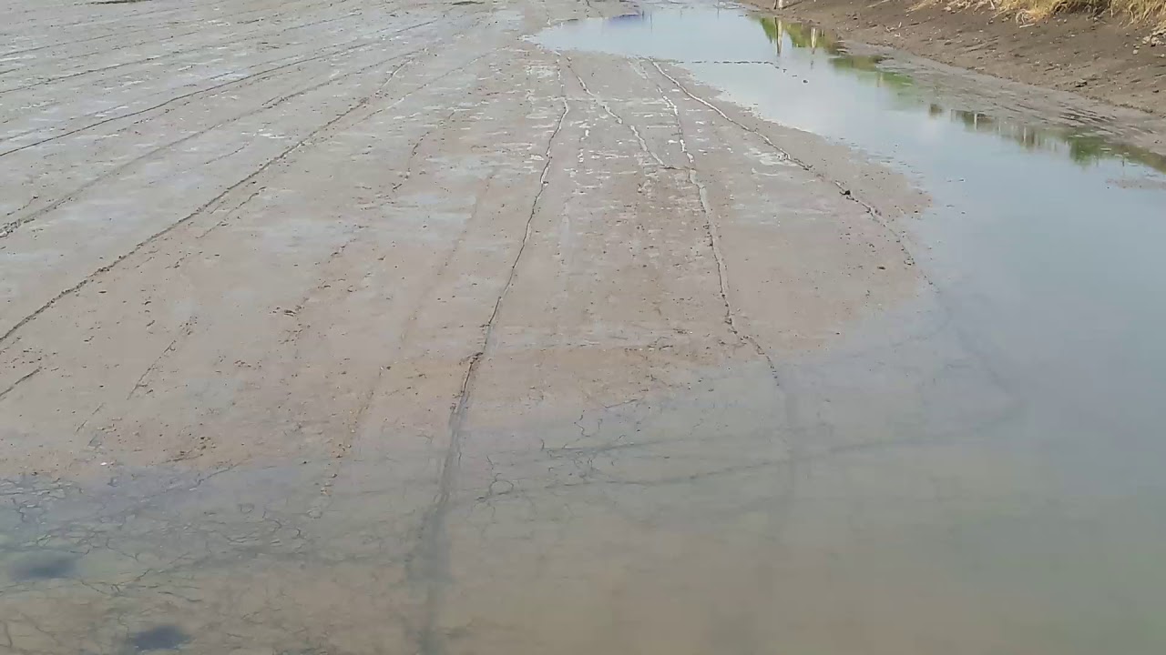 shrimp pond preparation (sludge removal) in GFCL, Khulna - YouTube