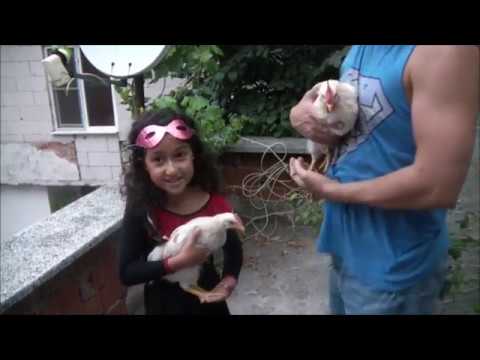 Soluksuz Bir Aksiyon Filmi - Super Kahramanlar Operasyon Civcivler