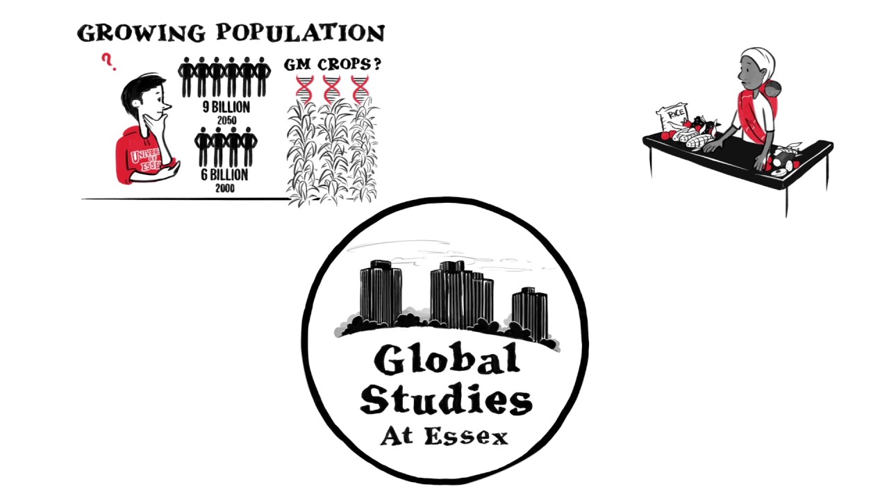 Why Global Studies? - YouTube