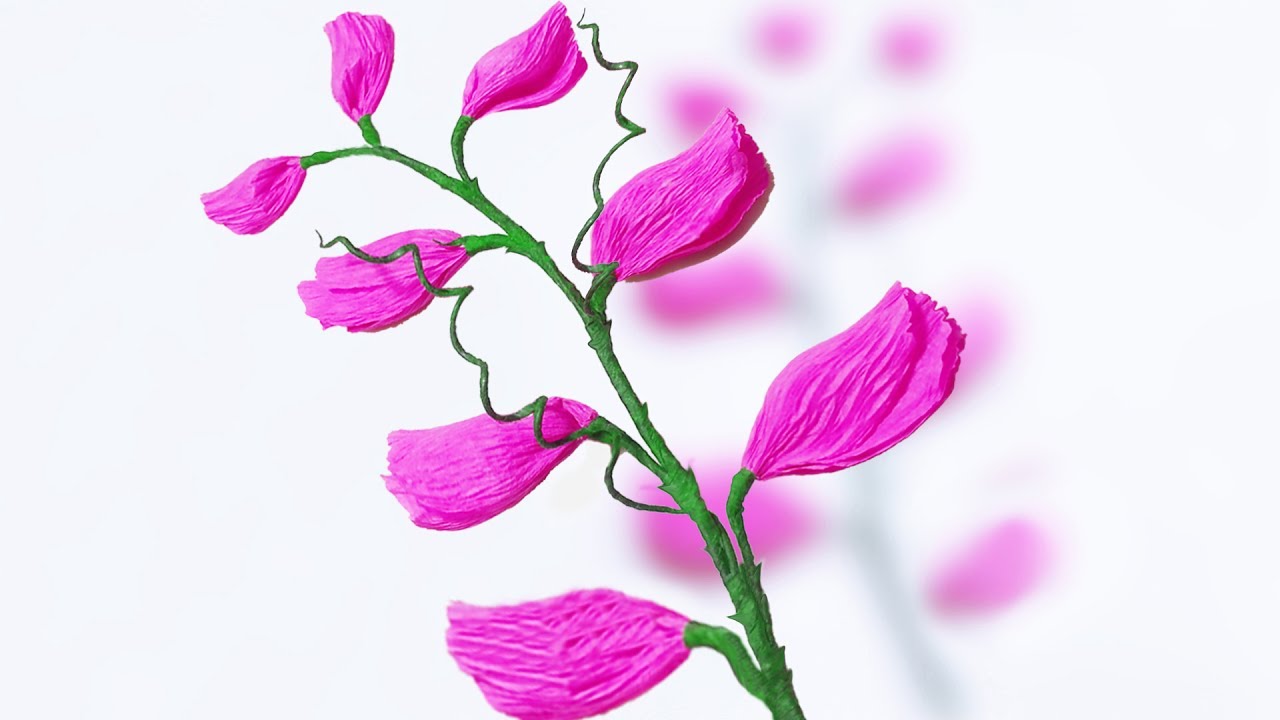 DIY:How to make Sweet Pea crepe paper Flowers - YouTube