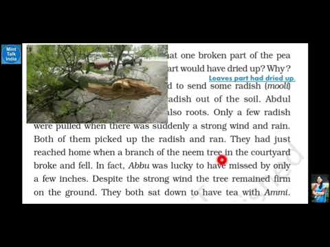 Class IV , EVS , Chapter-19 - YouTube