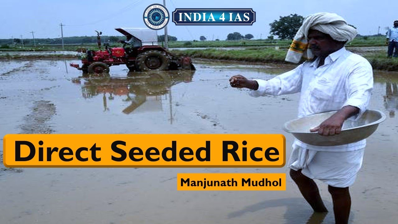 What is Direct Seeding of Rice (DSR)? | Agriculture | Increase Yield ...
