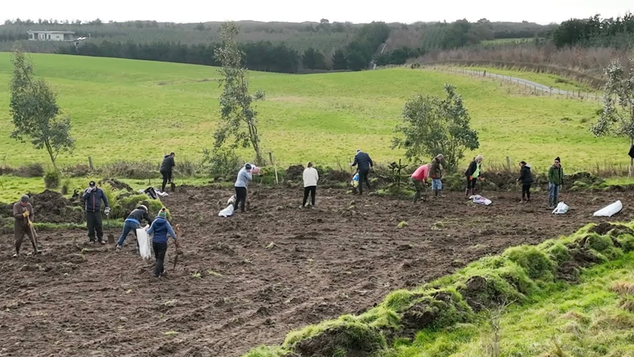 Sea View - part of the 100 Million Trees Project - YouTube