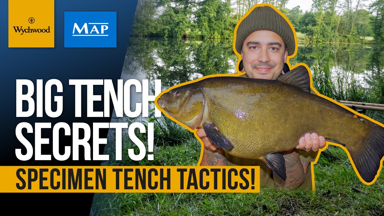 Specimen Tench Fishing | Matt Fernandez | Feeder Fishing - YouTube