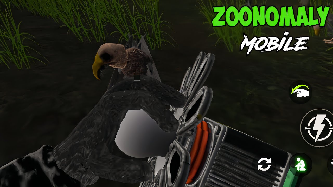 Zoonomaly Mobile: Scared Bird 3 Gameplay - YouTube
