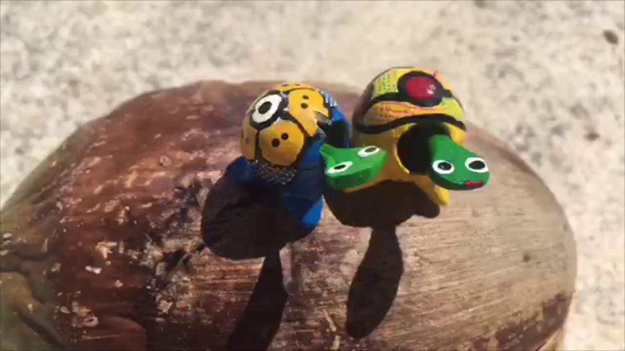 Two Little Turtles - YouTube