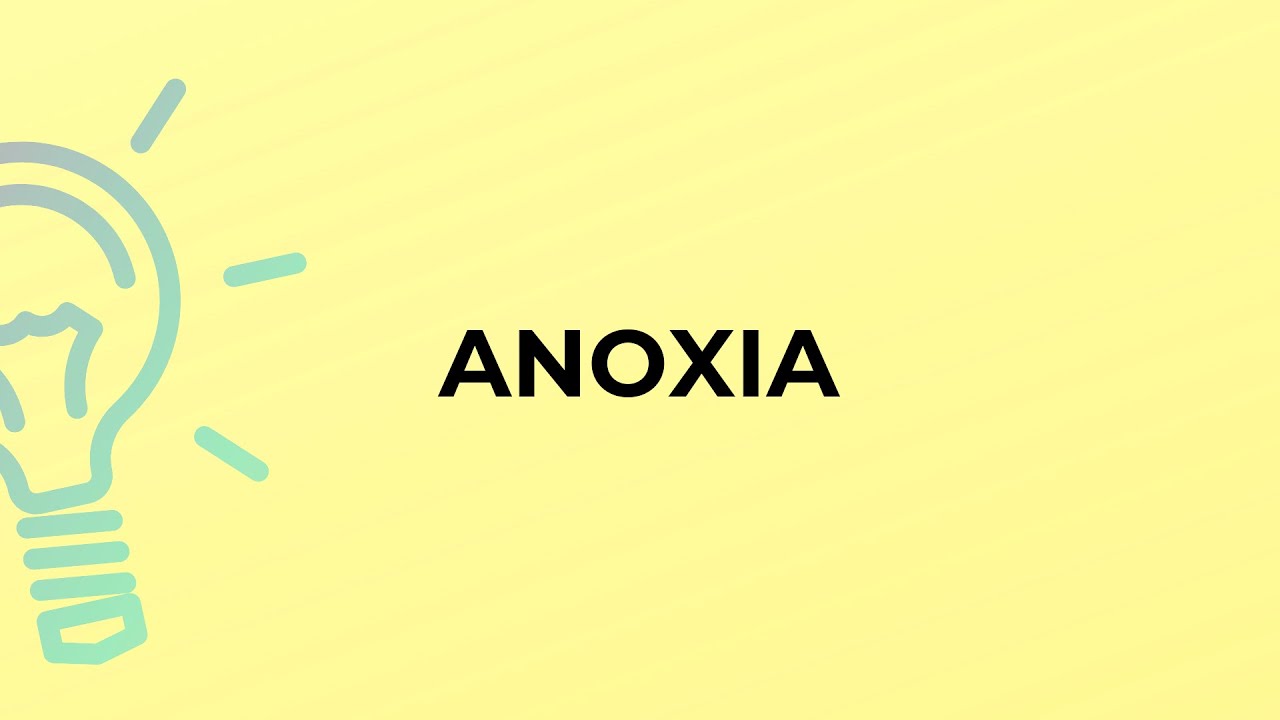 What is the meaning of the word ANOXIA? - YouTube