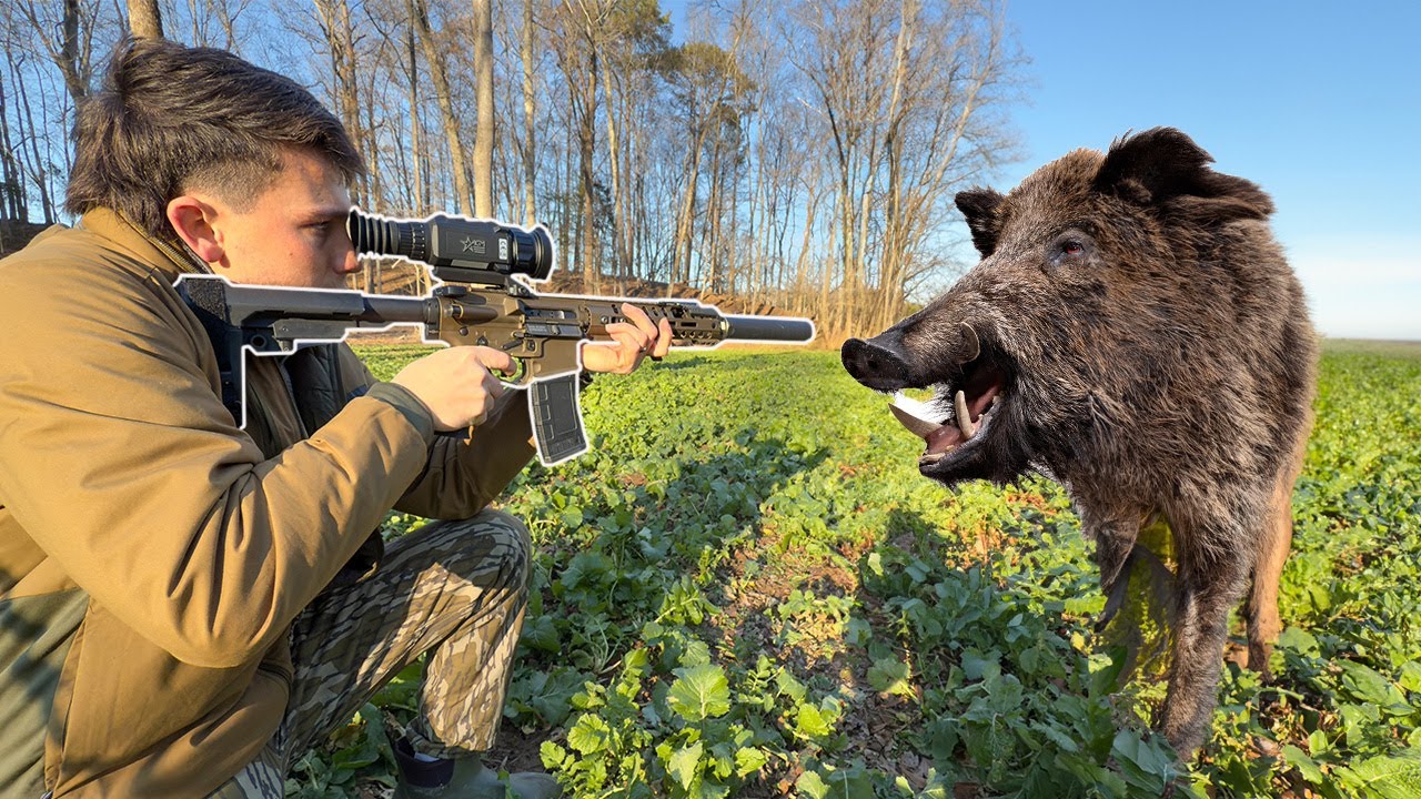 Hunting WILD HOGS at Night (KILL SHOTS) *thermal scope cam - YouTube