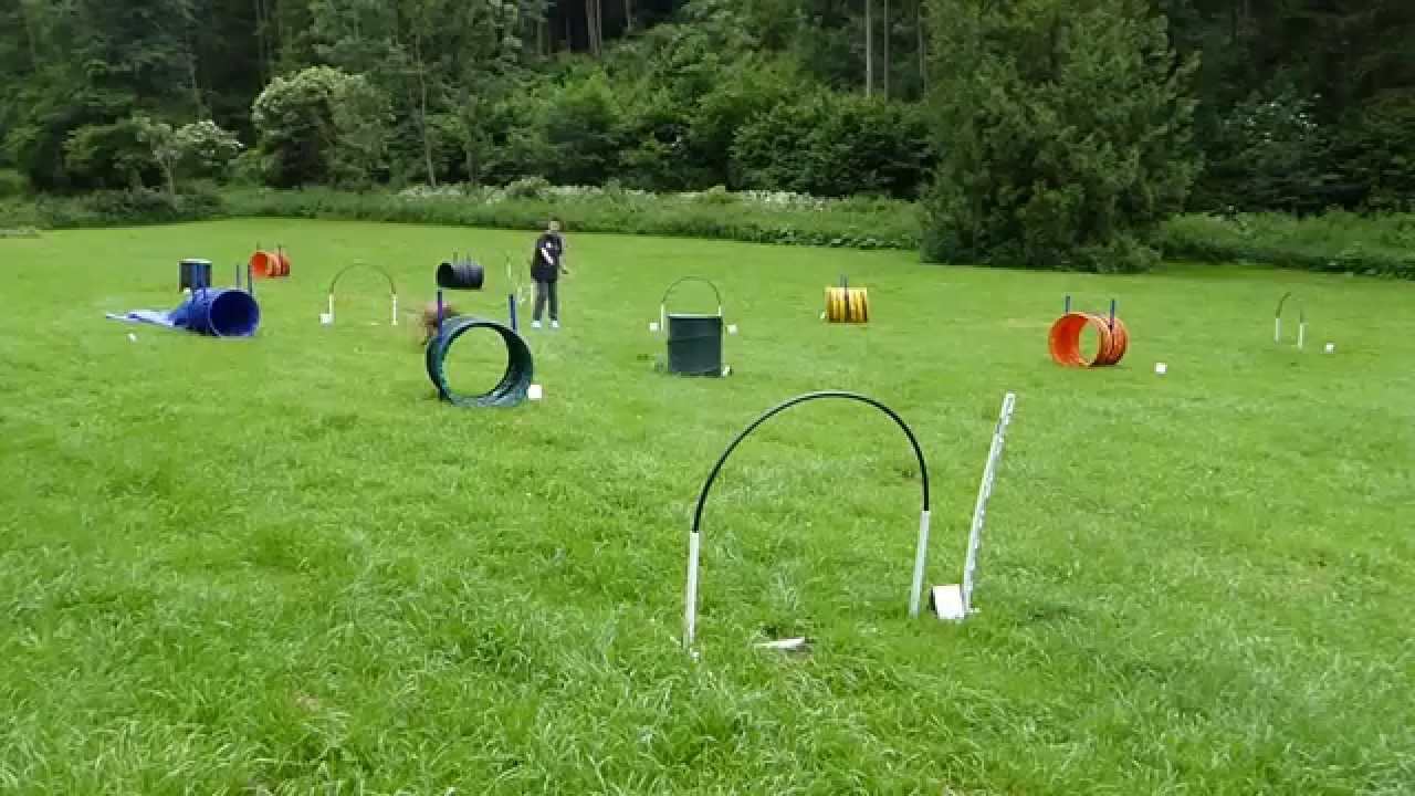 NADAC Hoopers-Agility: Frühjahrskurs 10 Einheit - Abschlußparcours ...