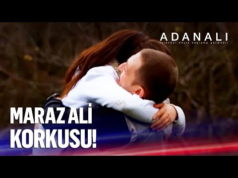 Tilki, Ayşegül'ü yere fırlattı! - Adanalı