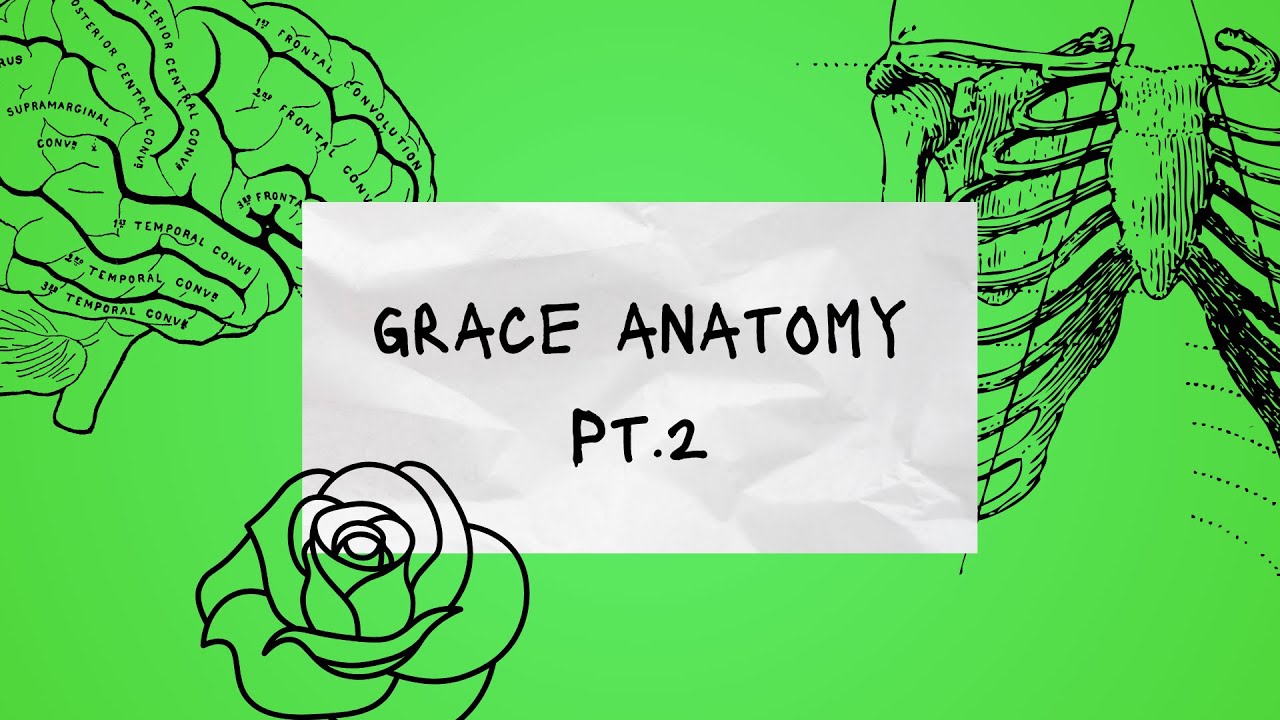 Grace Anatomy Pt. 2 (What is grace?) - YouTube