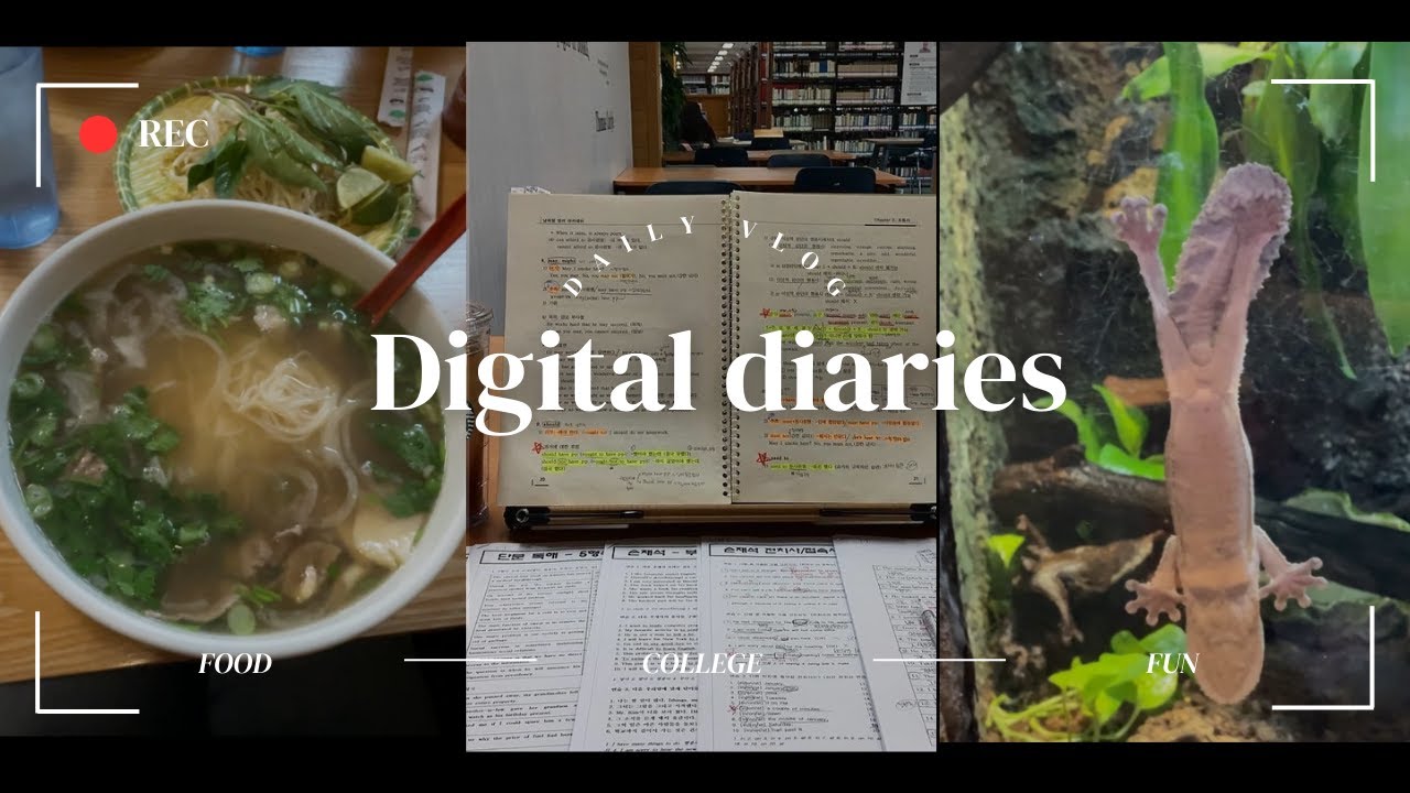 Digital diaries 📸 - YouTube