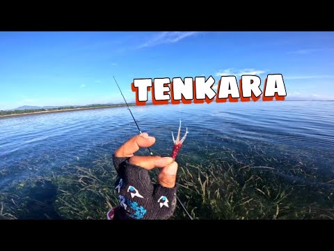 Sa Ganitong Spot Ba Nababagay ang TENKARA Ultralight Casting! - YouTube