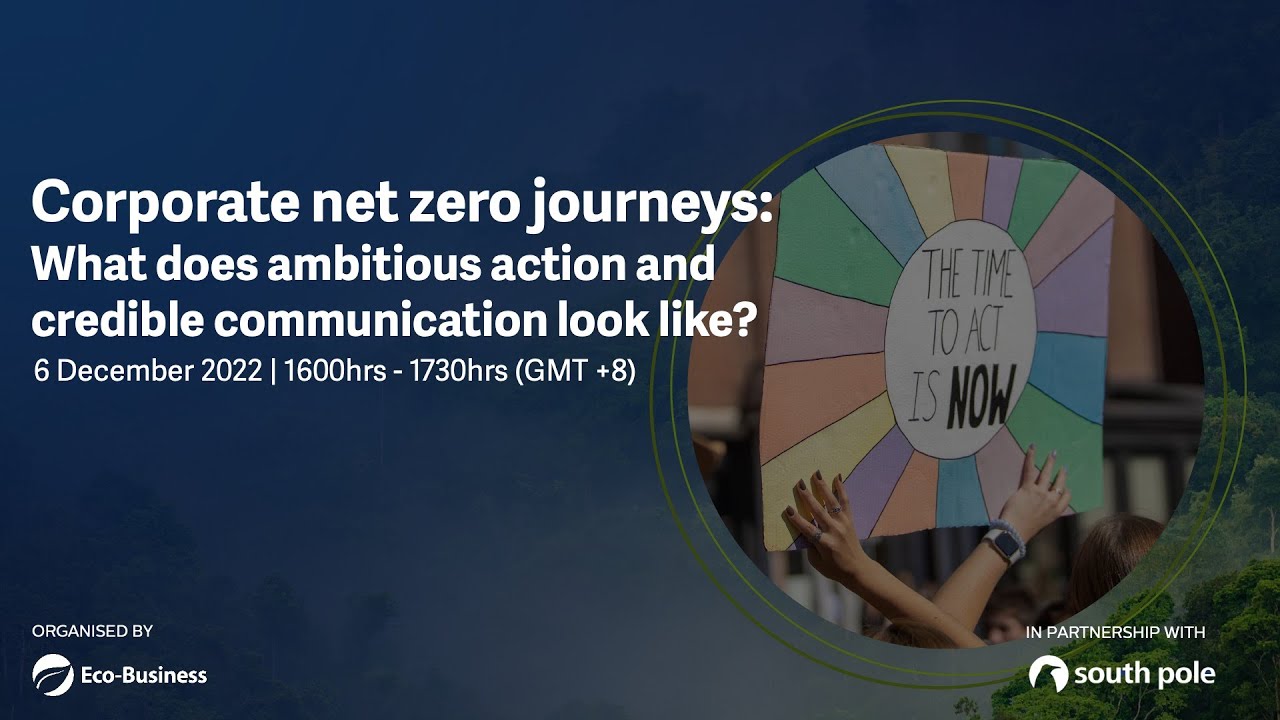 Corporate net zero journeys: What does ambitious action and credible ...