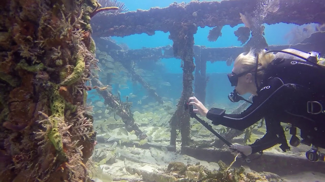 Scuba Diver Girls Dive the Flagler's Barge - YouTube