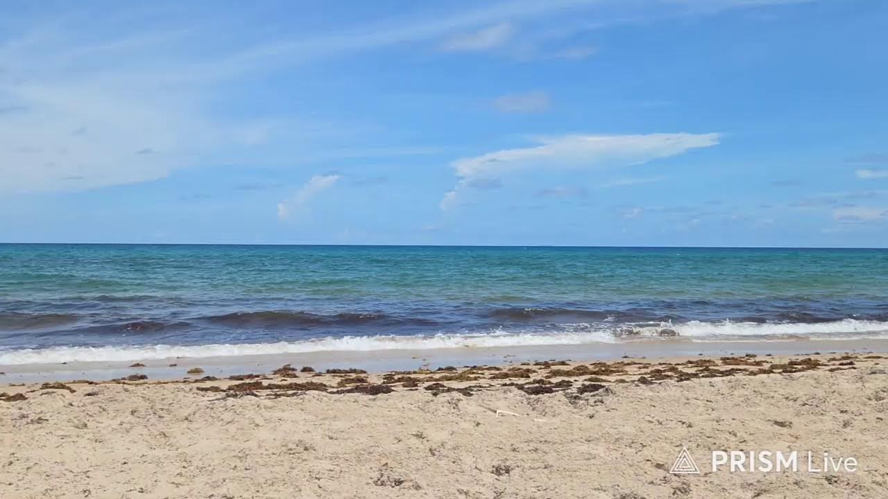 Live streaming of The Tan Man - YouTube