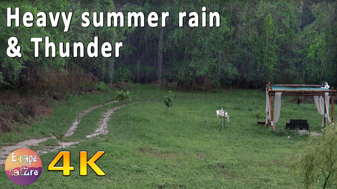 4K Heavy summer rain and thunder - Relaxing nature sounds - Study ...