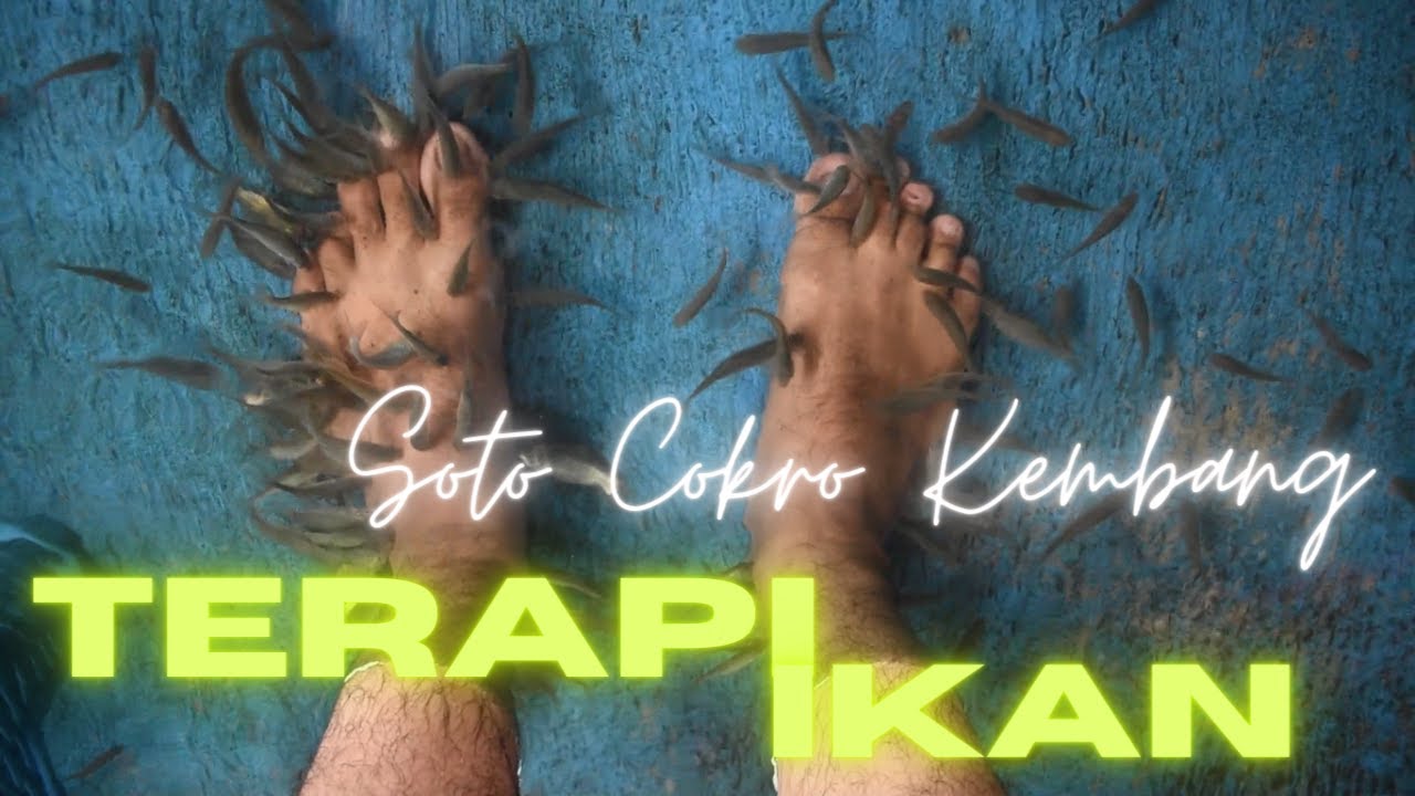 Soto di Jogja sambil terapi ikan, geli euy - YouTube