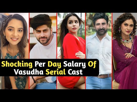 Shocking Per Day Salary Of Vasudha Serial Cast | Devansh | Karishma ...
