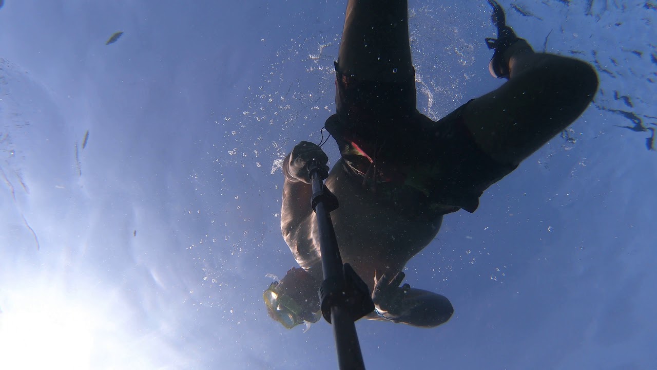 SNORKELING IN BALICASAG ISLAND REEF - YouTube