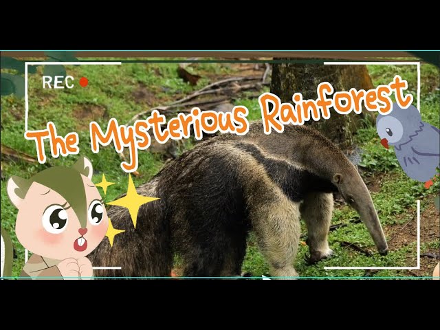 Earth Science | Facts About the Amazon Rainforests | Science Videos for ...