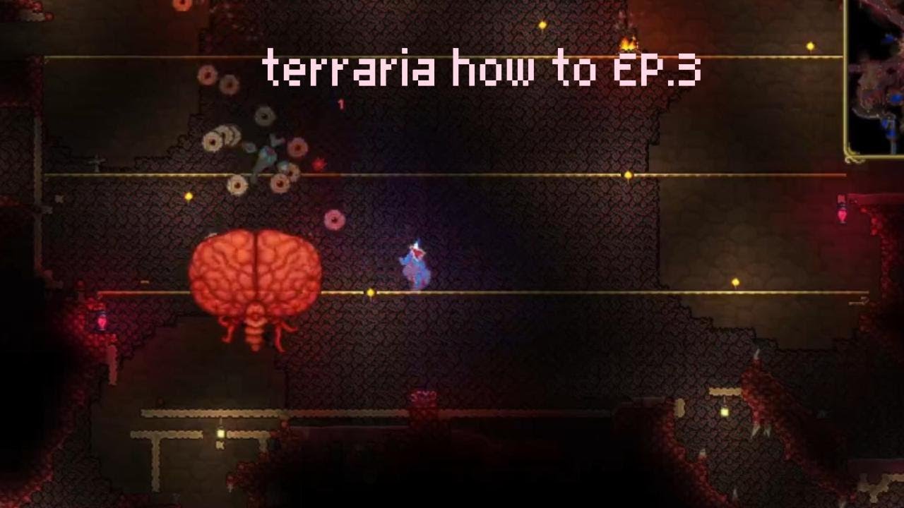 EP.3 boss brain of cthulhu (Terraria how to) - YouTube