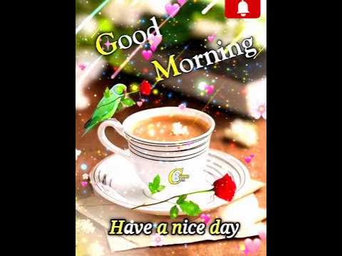 Good morning (गुड मॉर्निंग ) video #shorts #viralshorts #goodmorning # ...