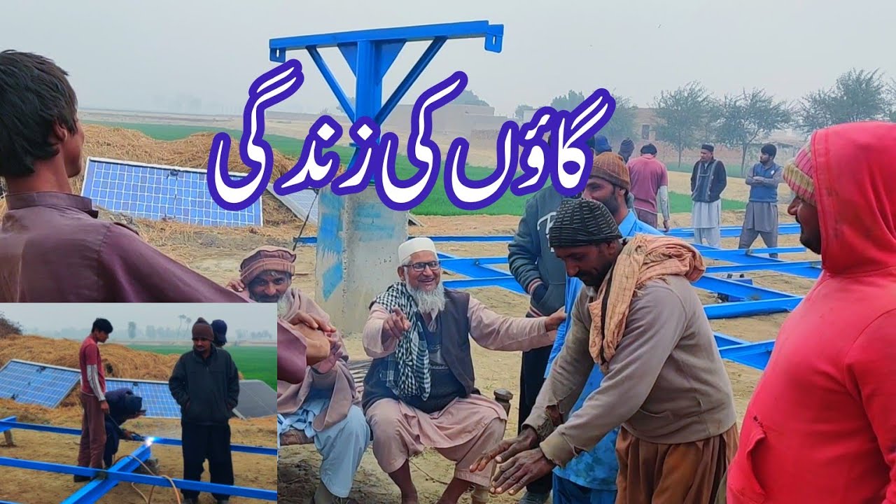 Village Green Fields | Village Life In Pakistan |Gaon Ki Zindagi ...