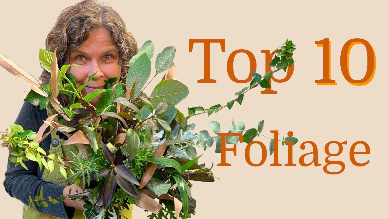 Top ten foliage for fall floral designs - YouTube