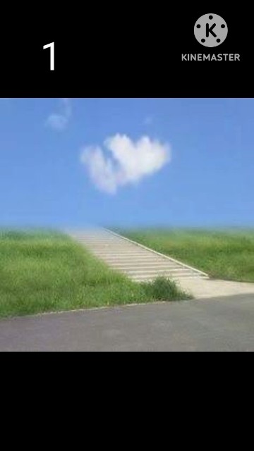 Which path are you choosing? #dreamcore - YouTube