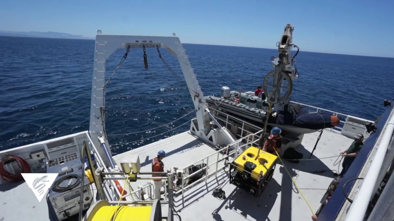 Ready, set, go! Mini ROV launch in the Monterey Bay - YouTube